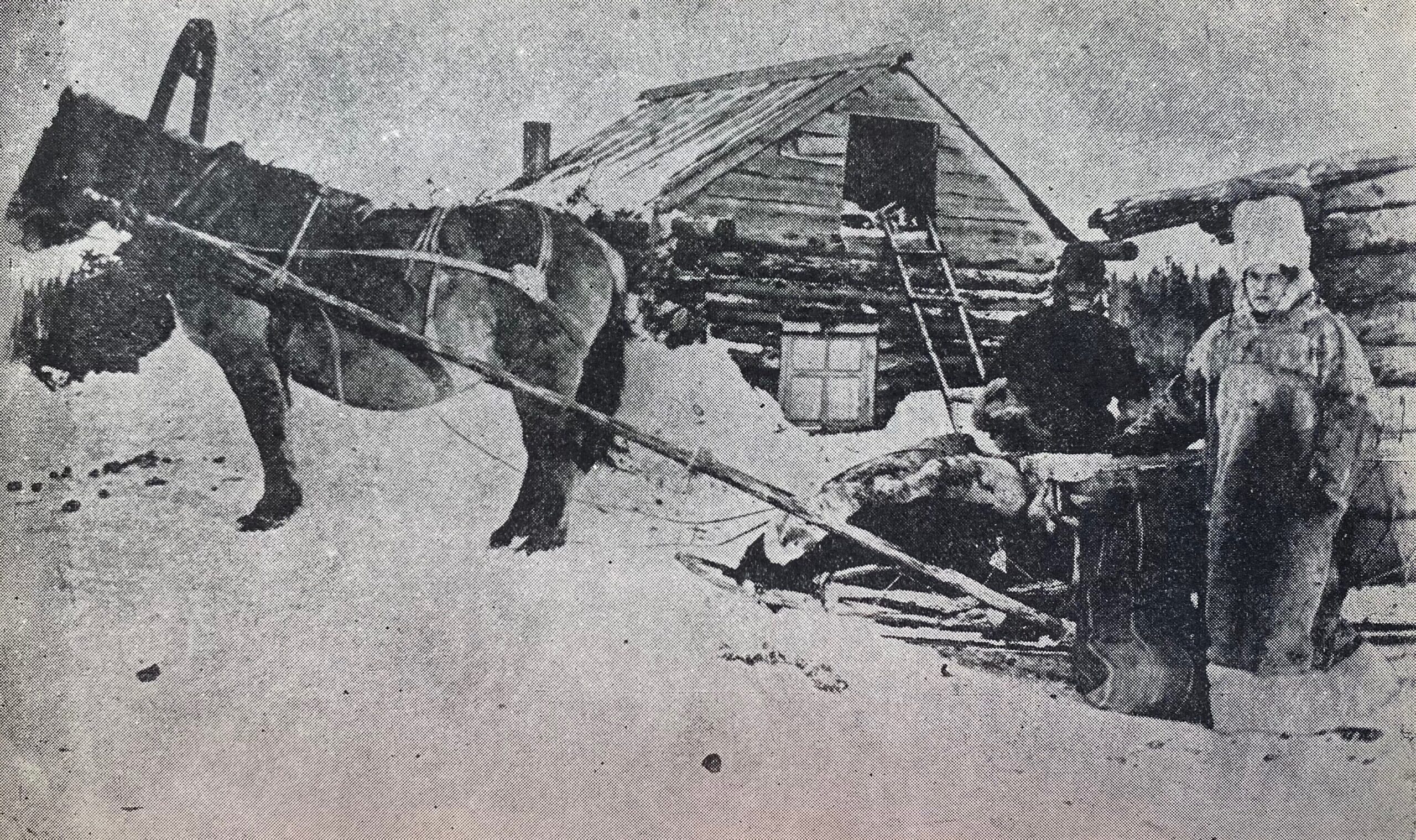 Comrade Rakow: An Excerpt From Return From Siberia - Return from Siberia